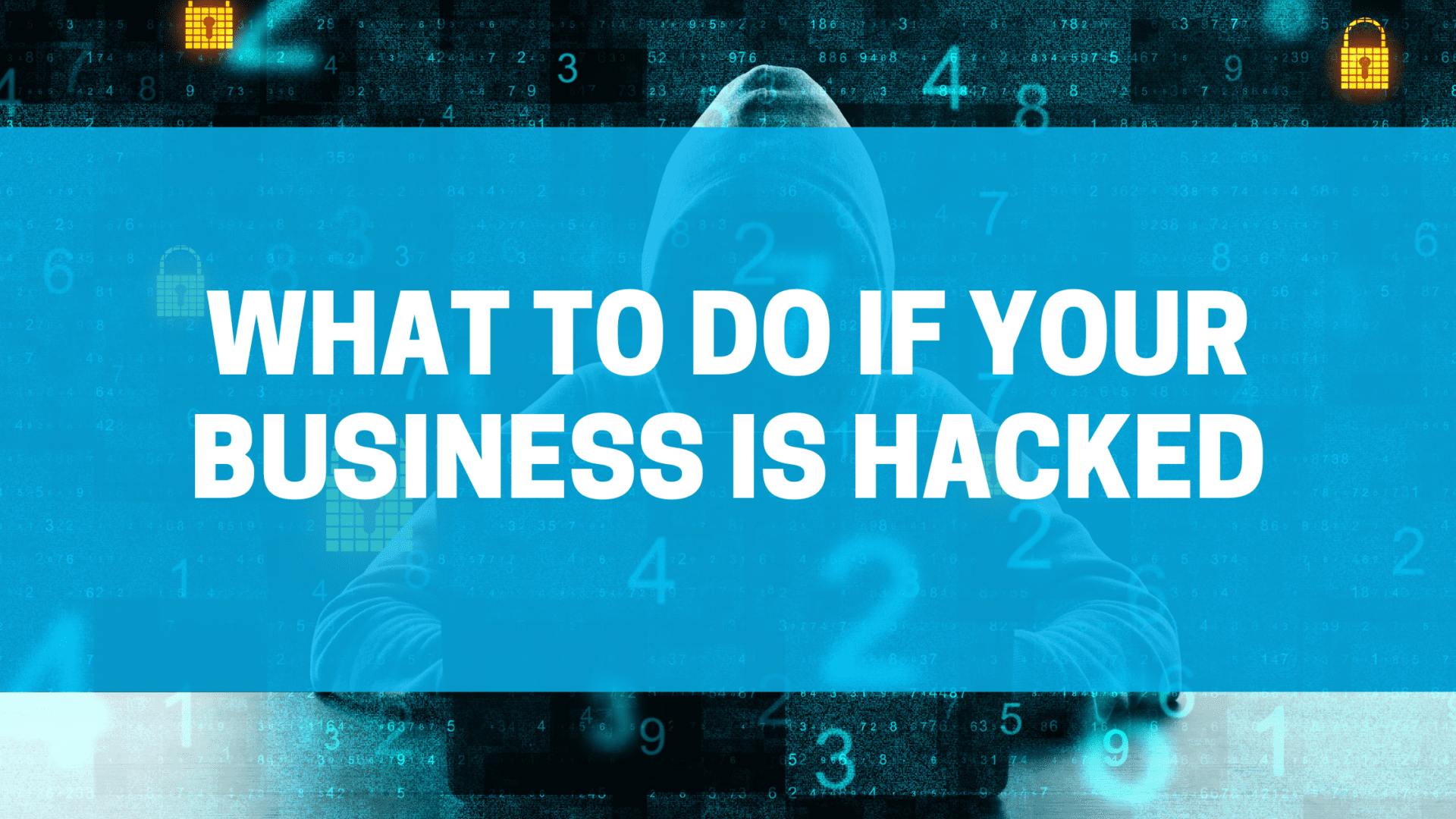 What To Do If Your Business Is Hacked